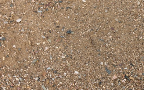 Breeze | Dreamscapes Landscape Center