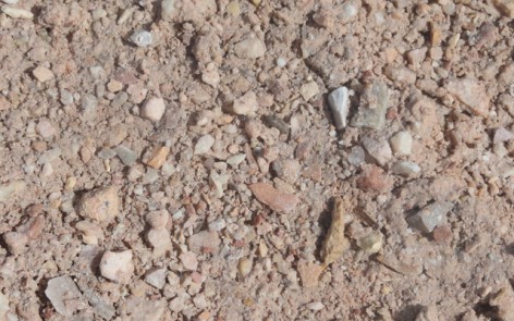 Breeze | Dreamscapes Landscape Center