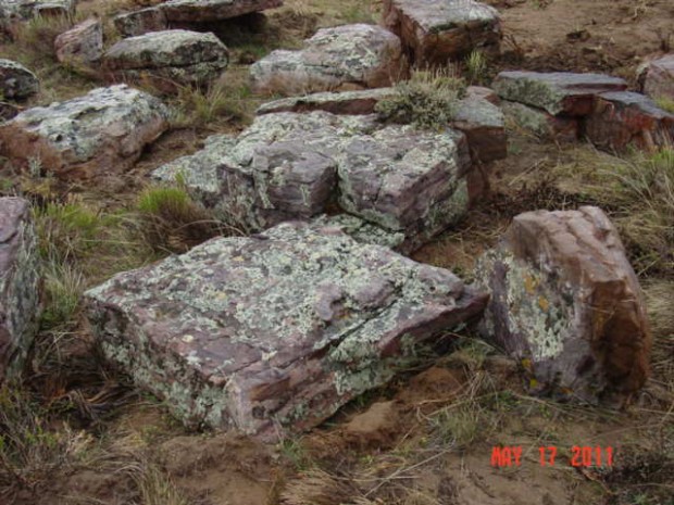 Moss Rock Boulders | Dreamscapes Landscape Center