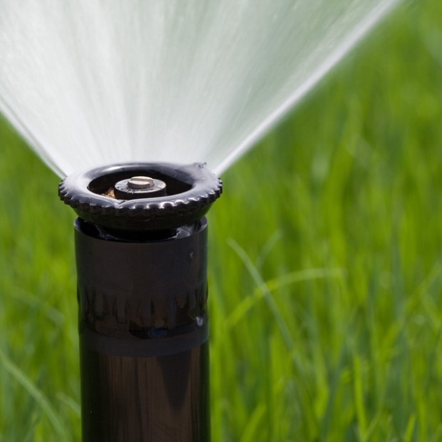 Hunter Pop Up Spray Heads | Dreamscapes Landscape Center